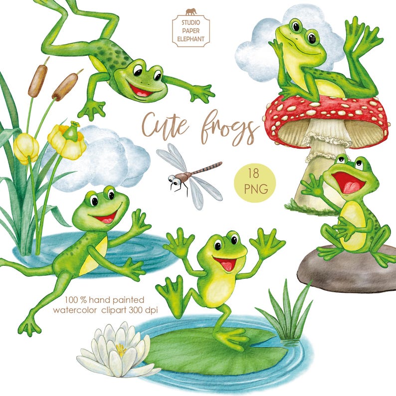 Watercolor Frog Clipart, Kids PNG Graphics (digital Download) - Etsy
