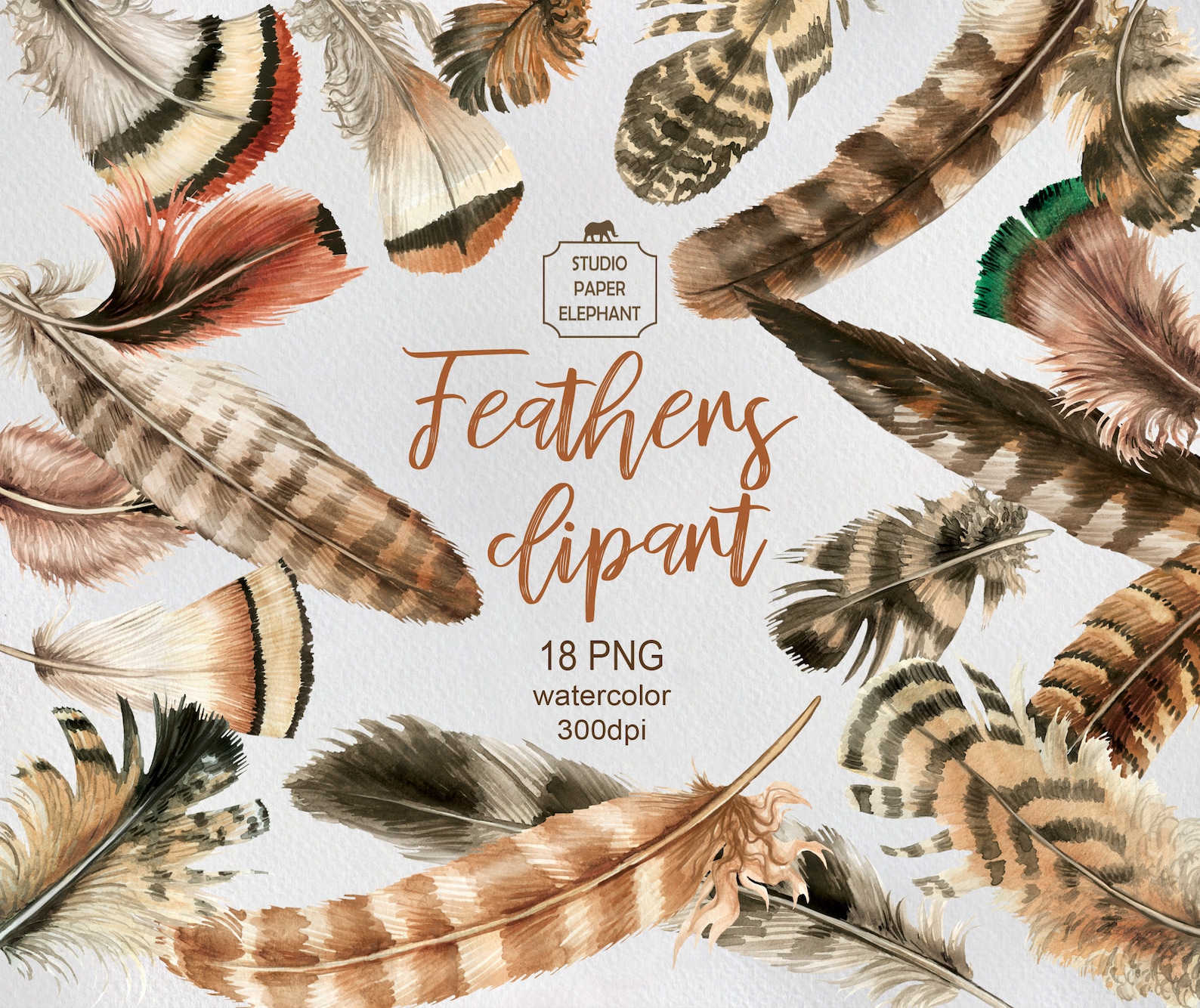 Watercolor Feathers Clipart, Feather Clipart, Boho Feathers Clipart ...