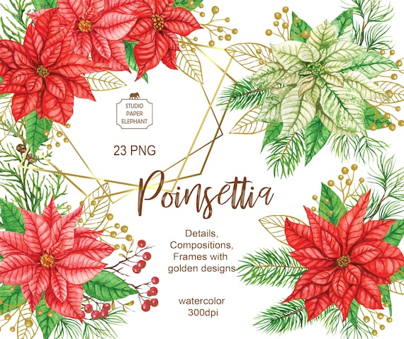 Watercolor Poinsettia Clipart Christmas Flower Christmas | Etsy
