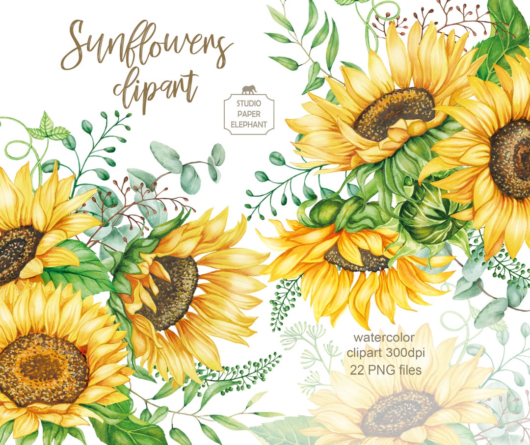 Watercolor Sunflower Clipart: Summer Flower Bouquets (PNG, Digital ...