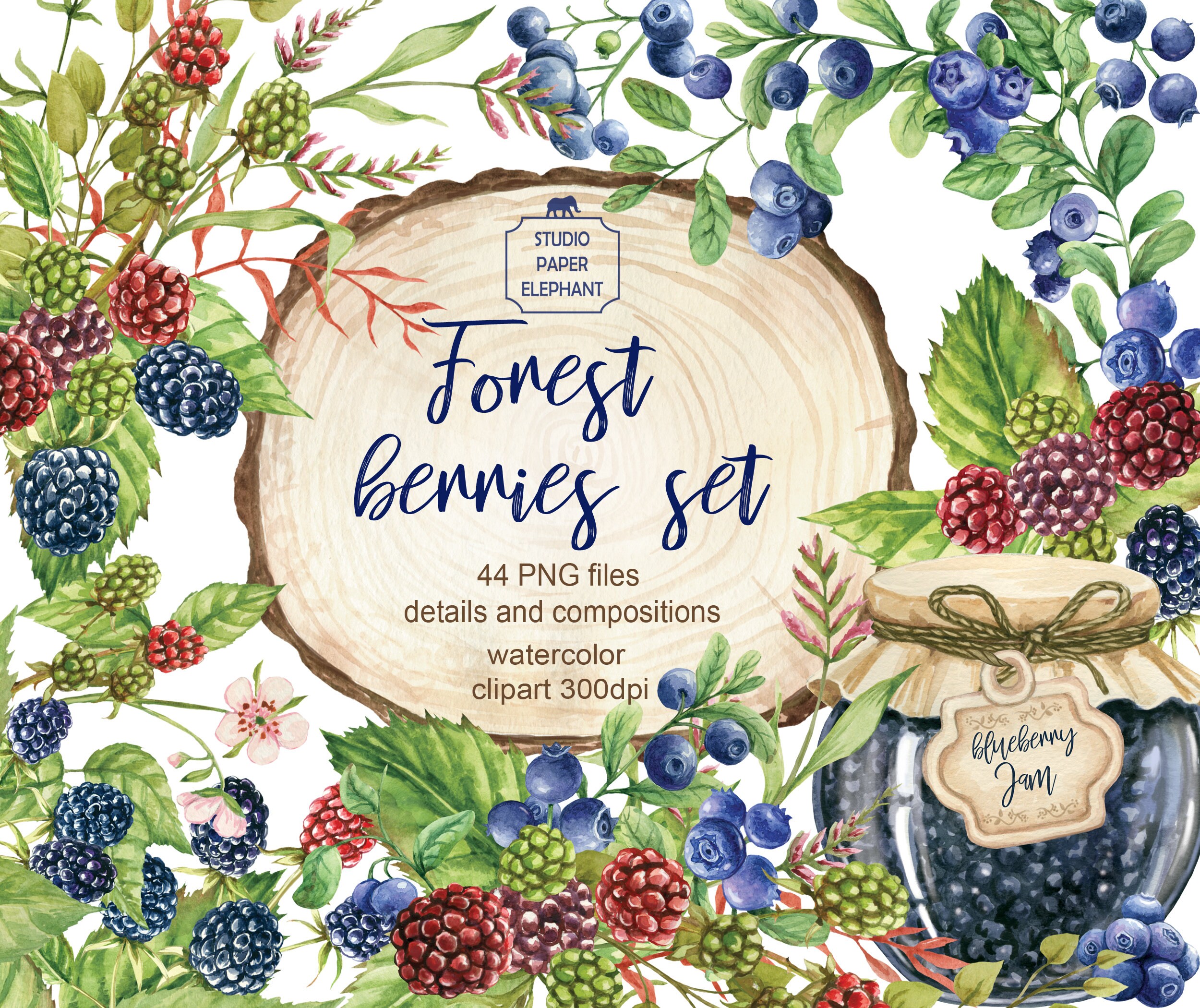 Wild Berries Clip Art