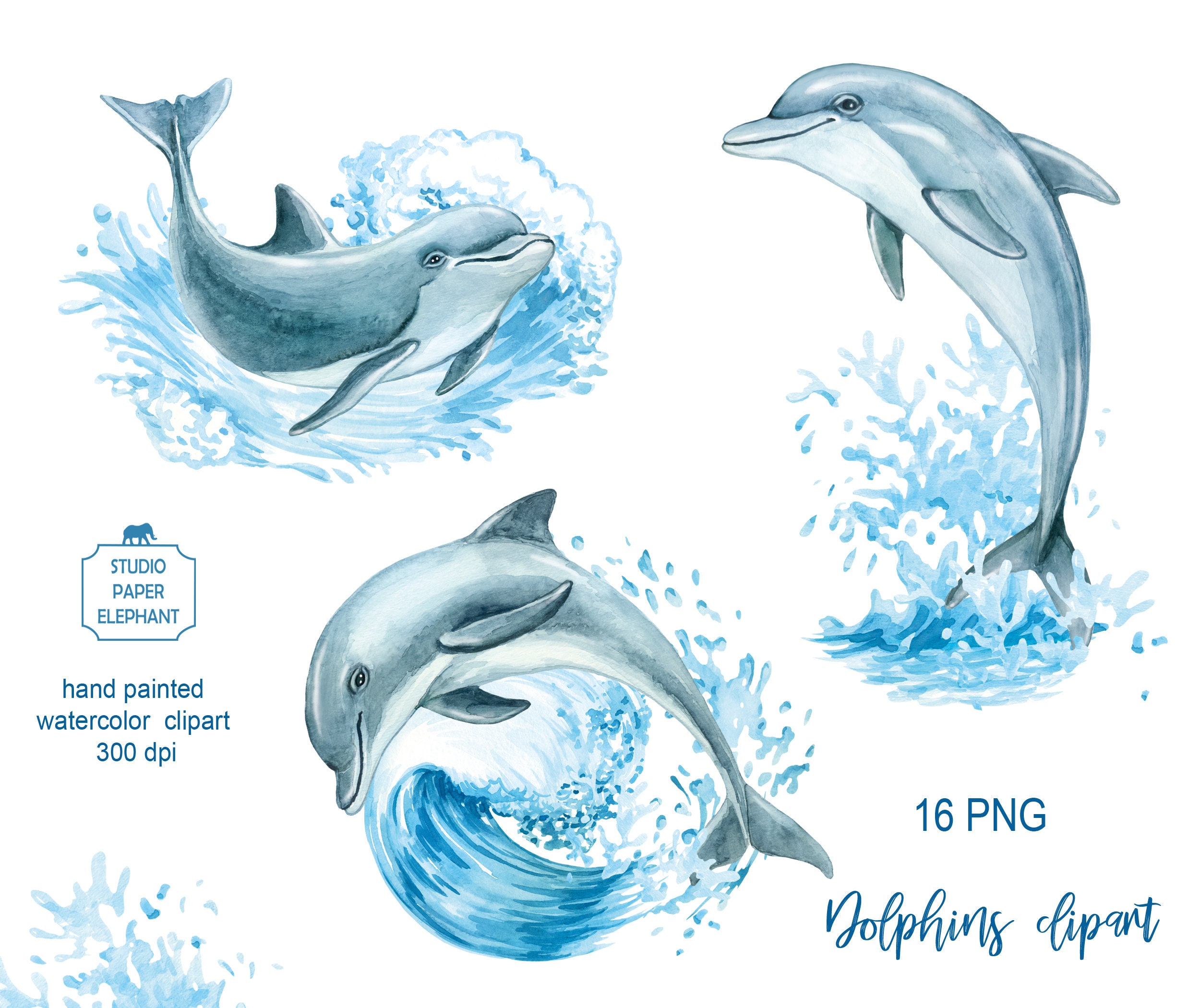 Watercolor Dolphins Clipart Sea Waves Clipart Sea Splashes - Etsy