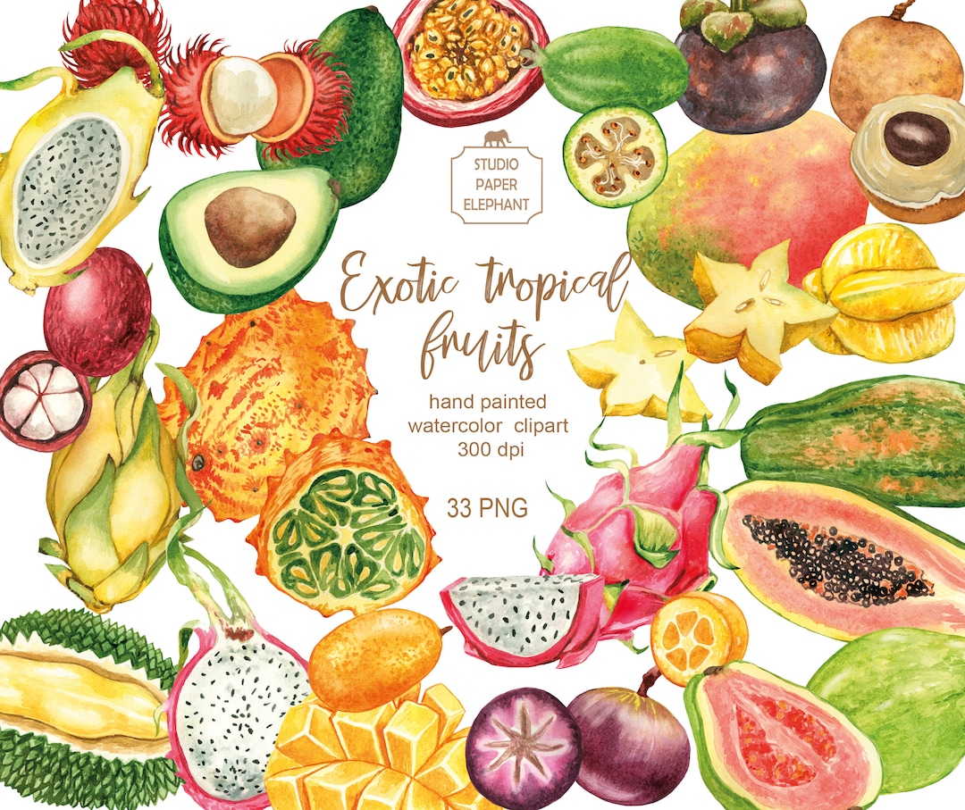 Watercolor Tropical Fruit Clipart: Exotic Summer Fruits (PNG, Instant ...