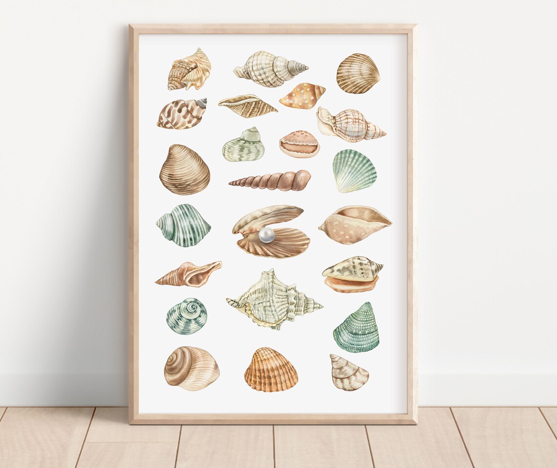 Watercolor Seashells Clipart Sea Shells Clipart Seashells - Etsy