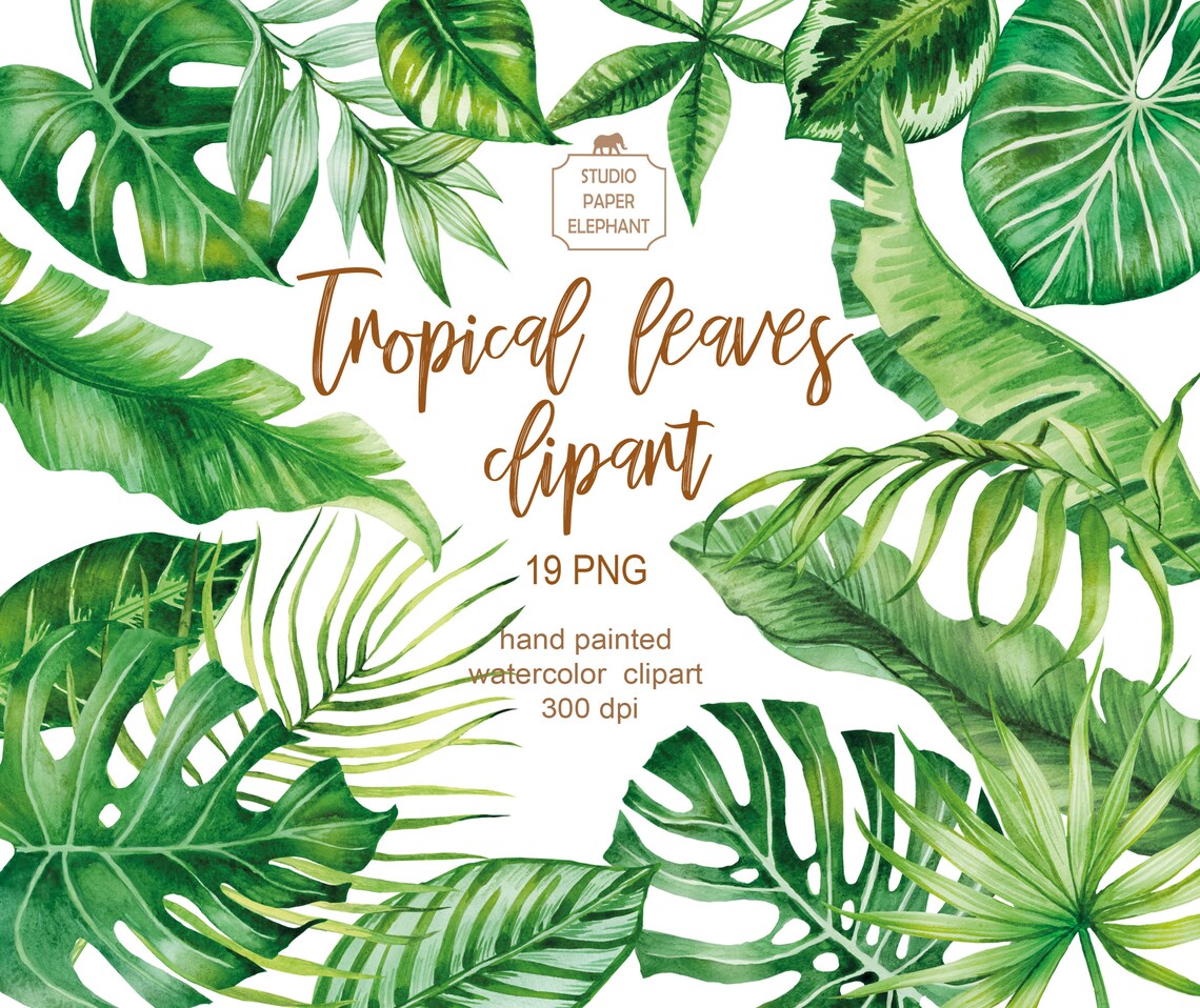 Watercolor Tropical Leaves Clipart Monstera Leaves Clipart | Etsy