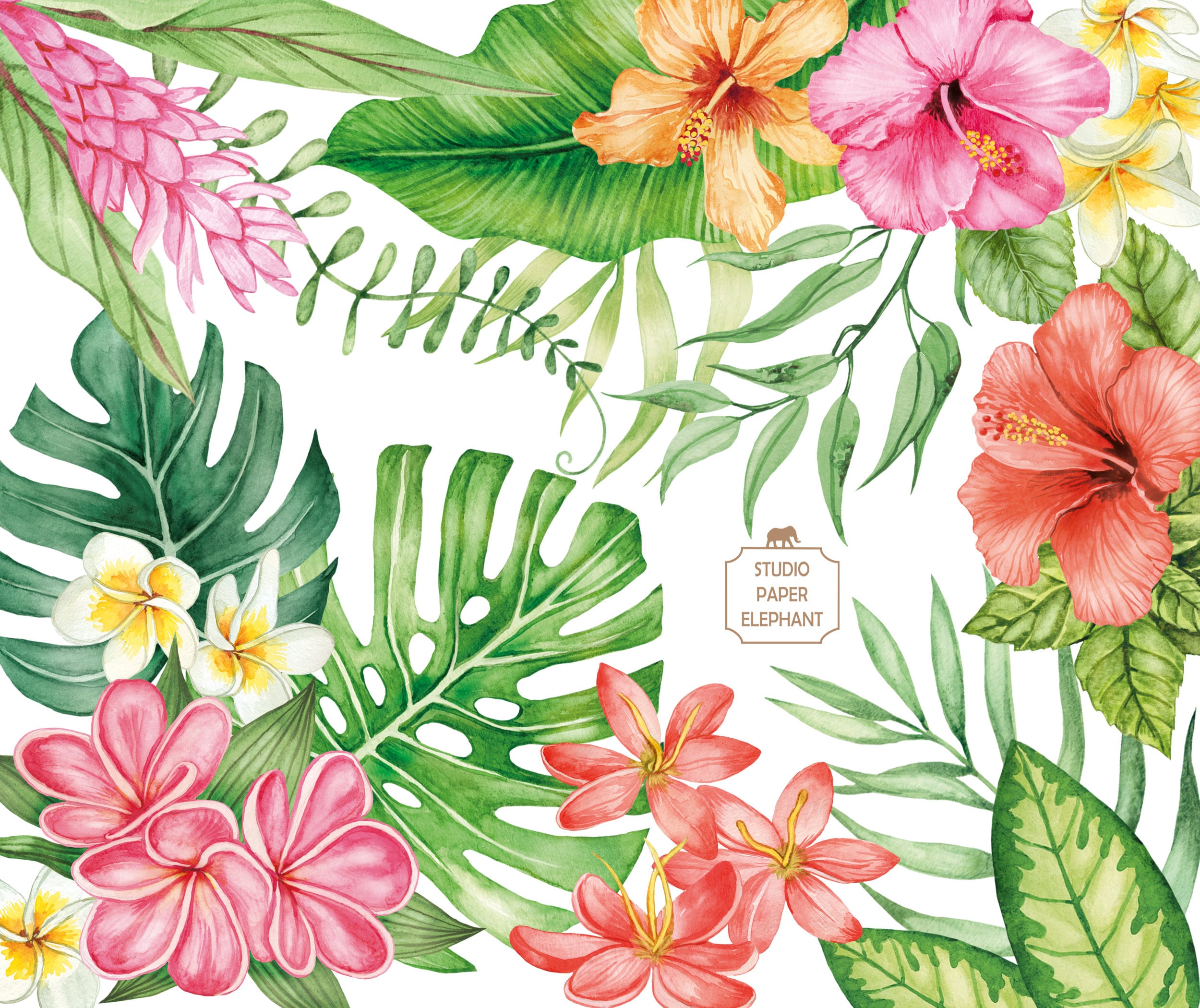 Watercolor Tropical Flowers Clipart: Jungle Leaves, Hawaii Wedding (PNG ...