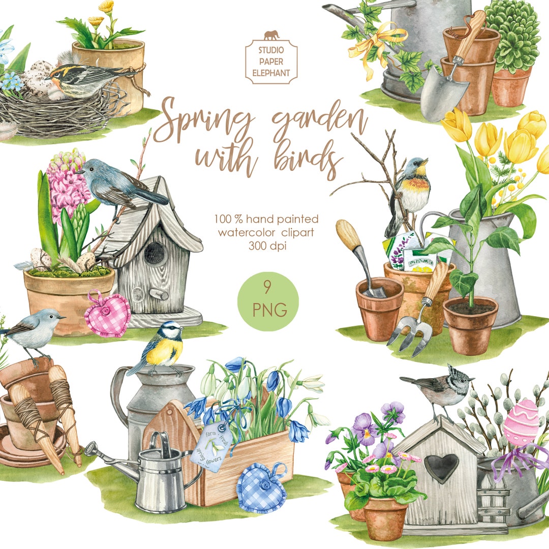 Watercolor Spring Garden Clipart: Birds, Flowers, Plants (PNG) - Etsy