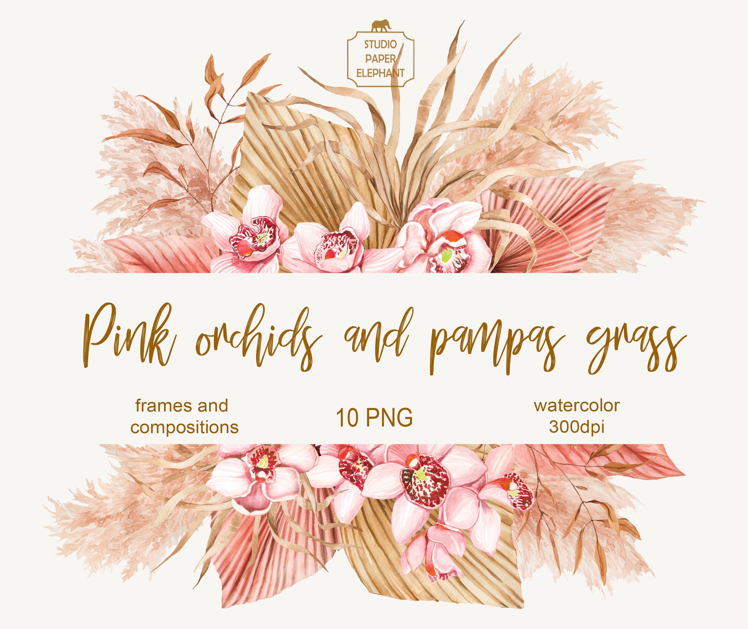 Watercolor pampas grass and orchids clipart boho frames boho | Etsy