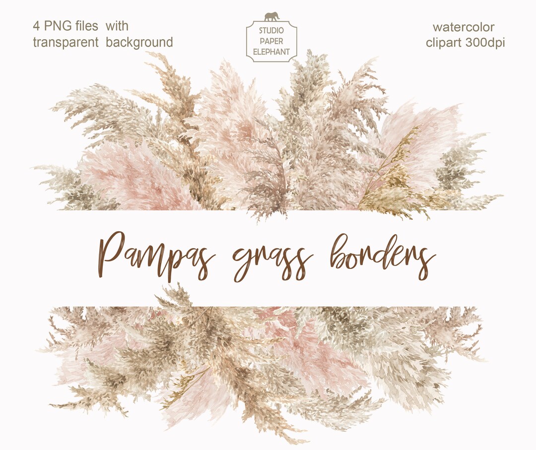 Pampas Grass Border Clipart, Watercolor Bohemian Pampas Grass Borders ...