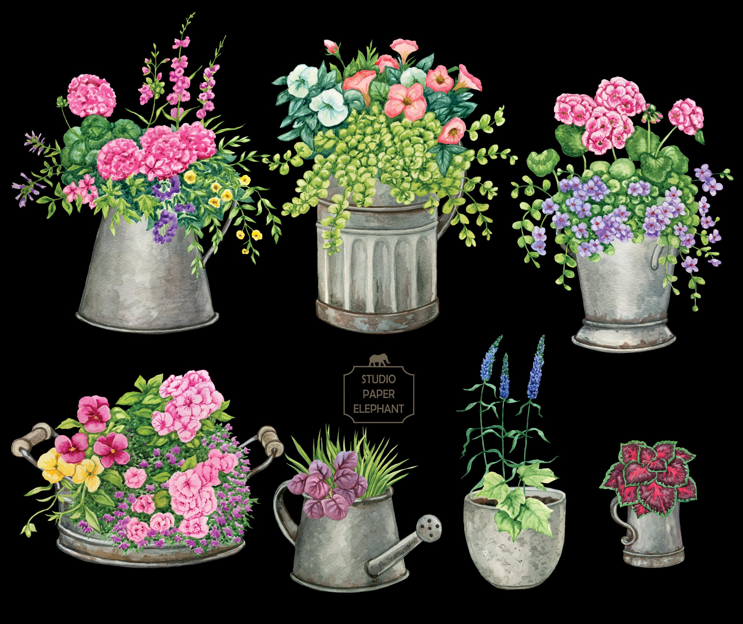 Watercolor Garden Clipart Garden Flowers in Containers Rusty - Etsy