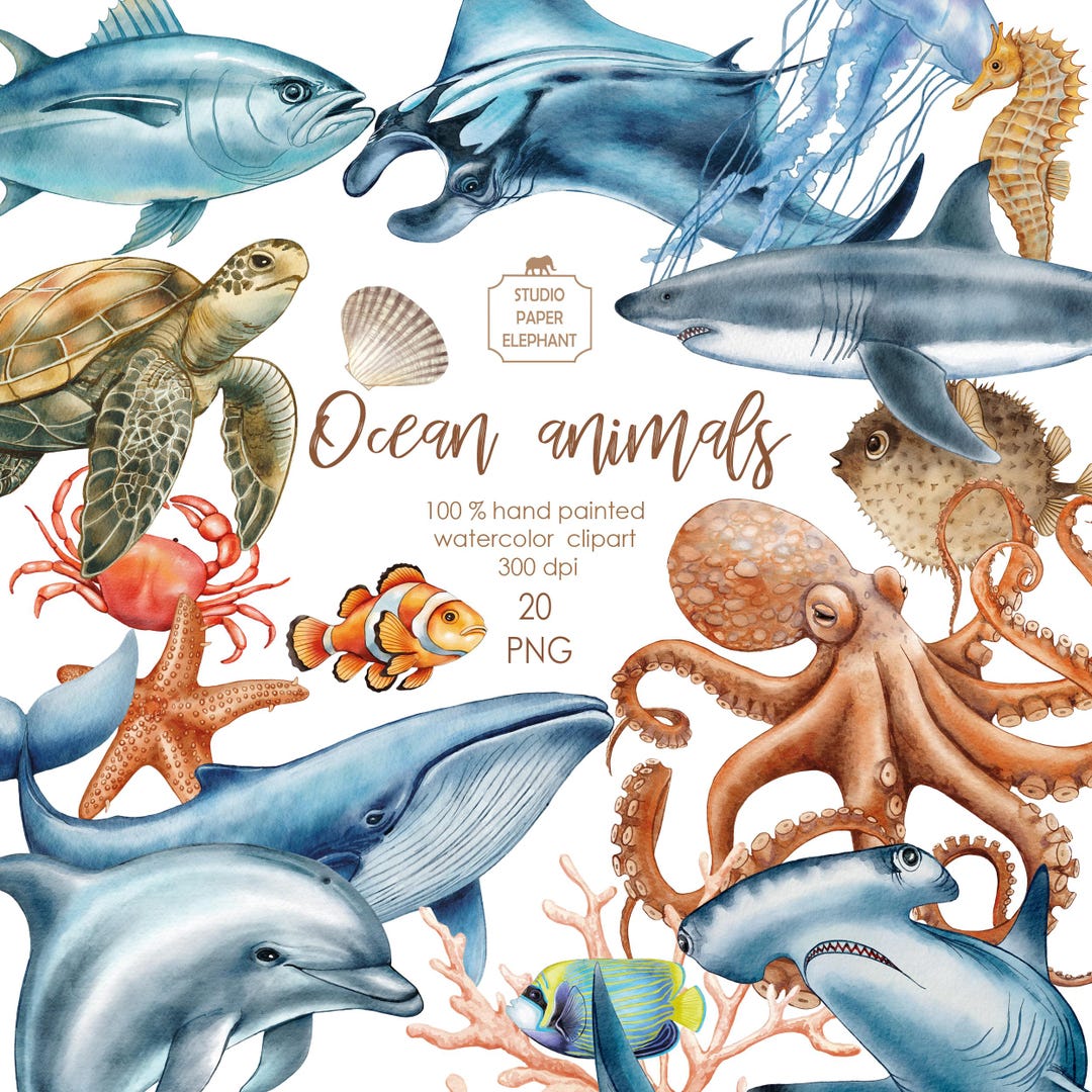 Watercolor Ocean Animals Clipart, Ocean Fish Clipart, Underwater World ...