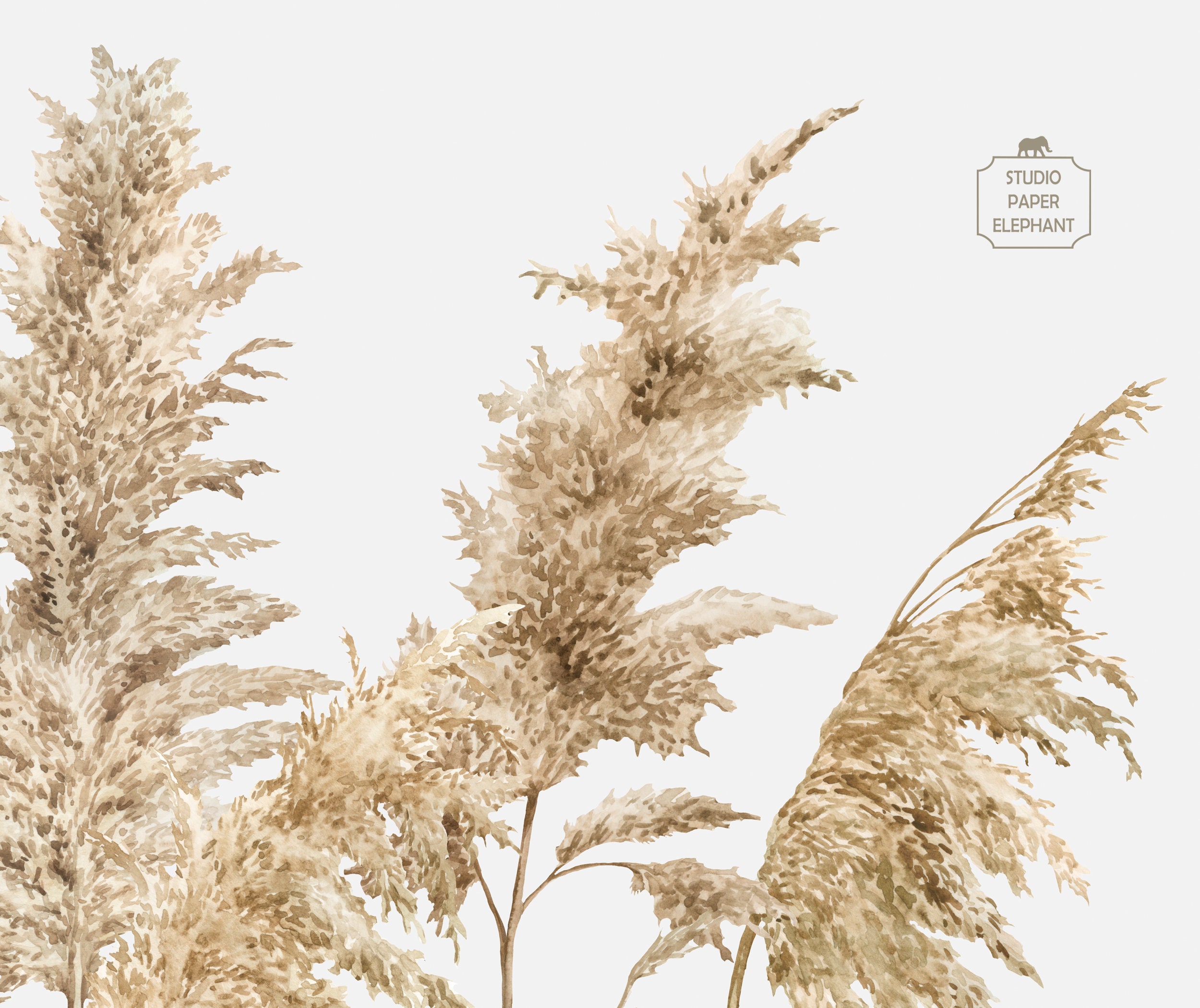 Pampas Grass Clipart Boho Watercolor Wreaths Bohemian - Etsy UK