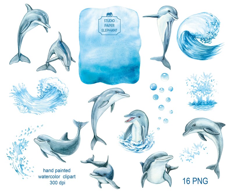 Watercolor Dolphins Clipart Sea Waves Clipart Sea Splashes - Etsy
