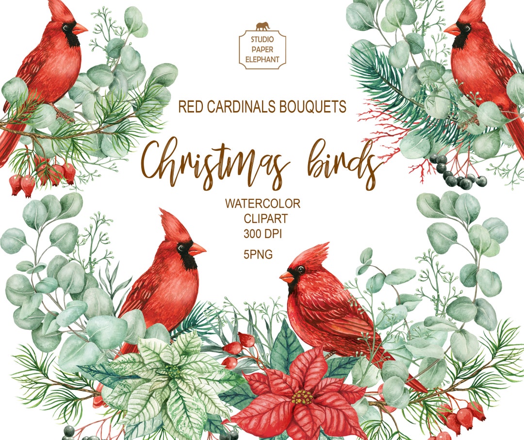 Watercolor Christmas Bouquets With Red Cardinals, Christmas Birds ...
