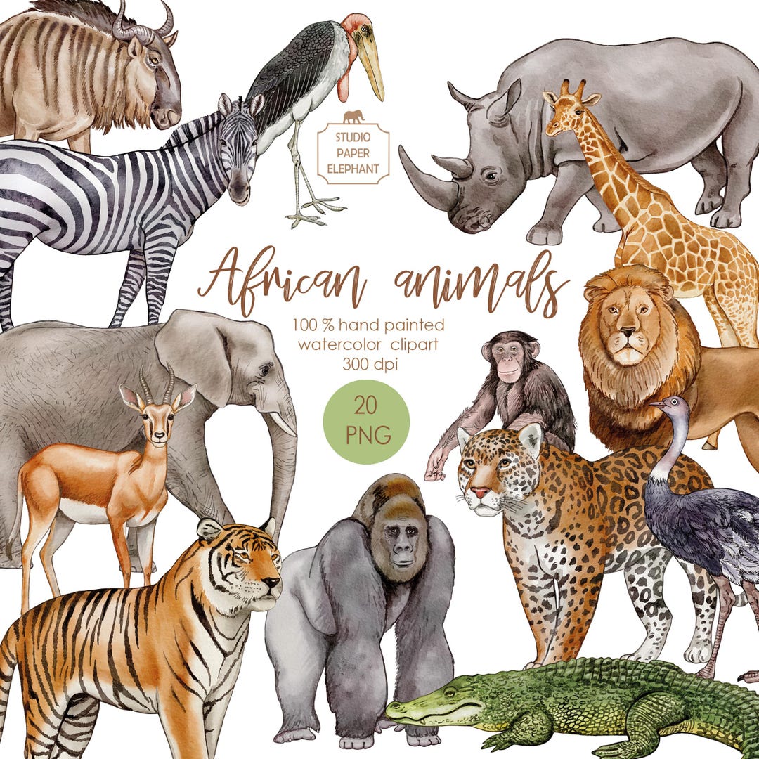 Watercolor Animals of Africa Clipart, Realistic Images of African ...