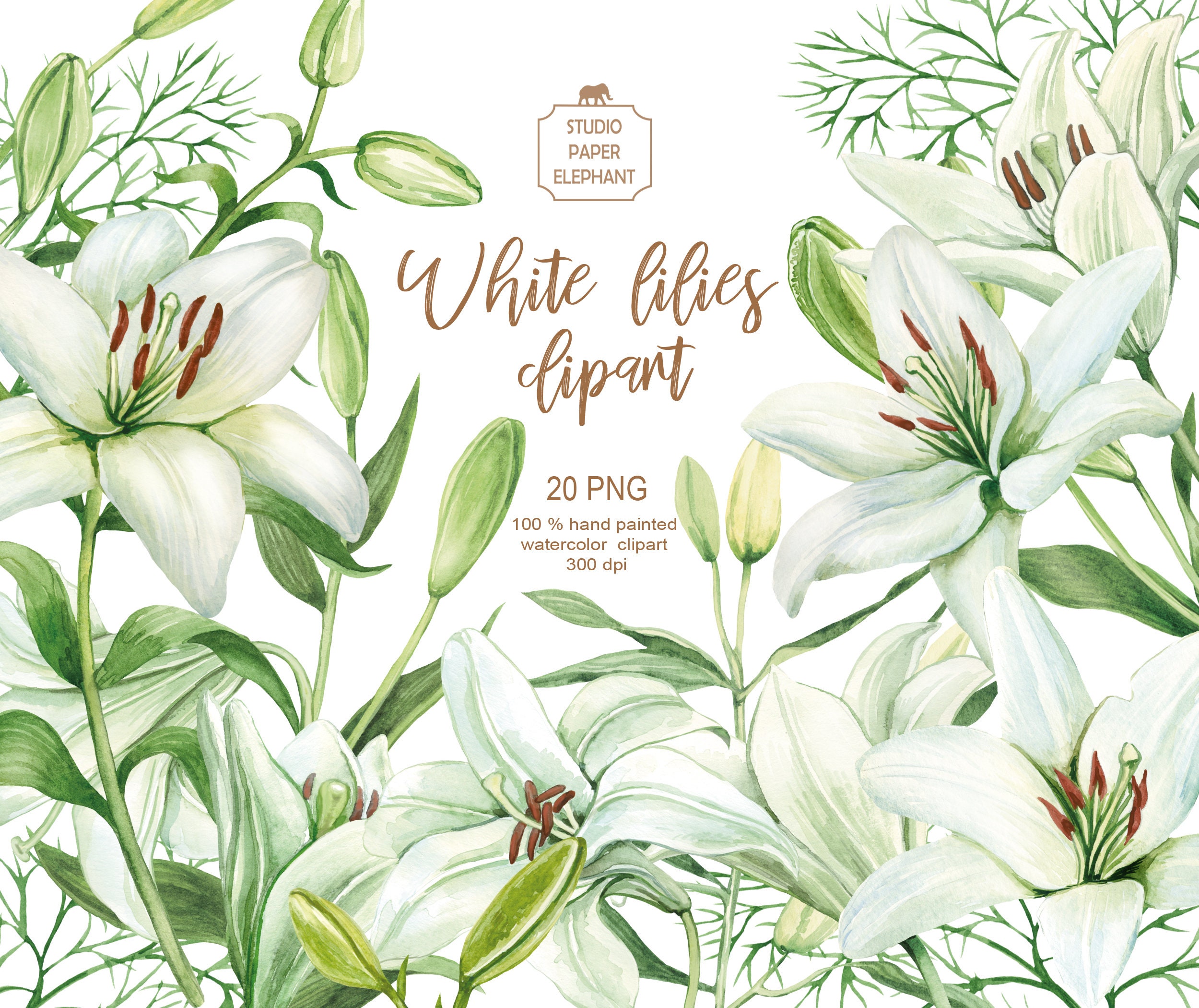 Bait And Tackle Clipart Of Flowers