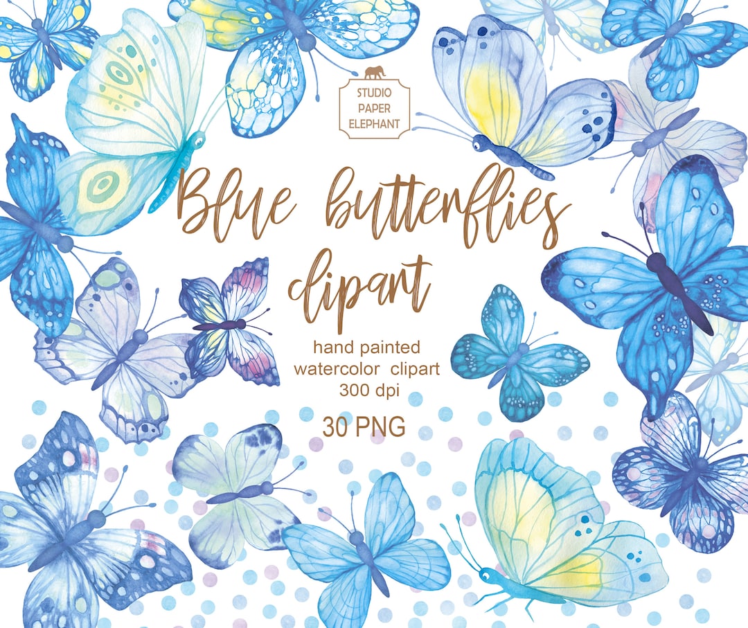 Watercolor Blue Butterfly Clipart: 30 PNG Graphics (digital Download ...