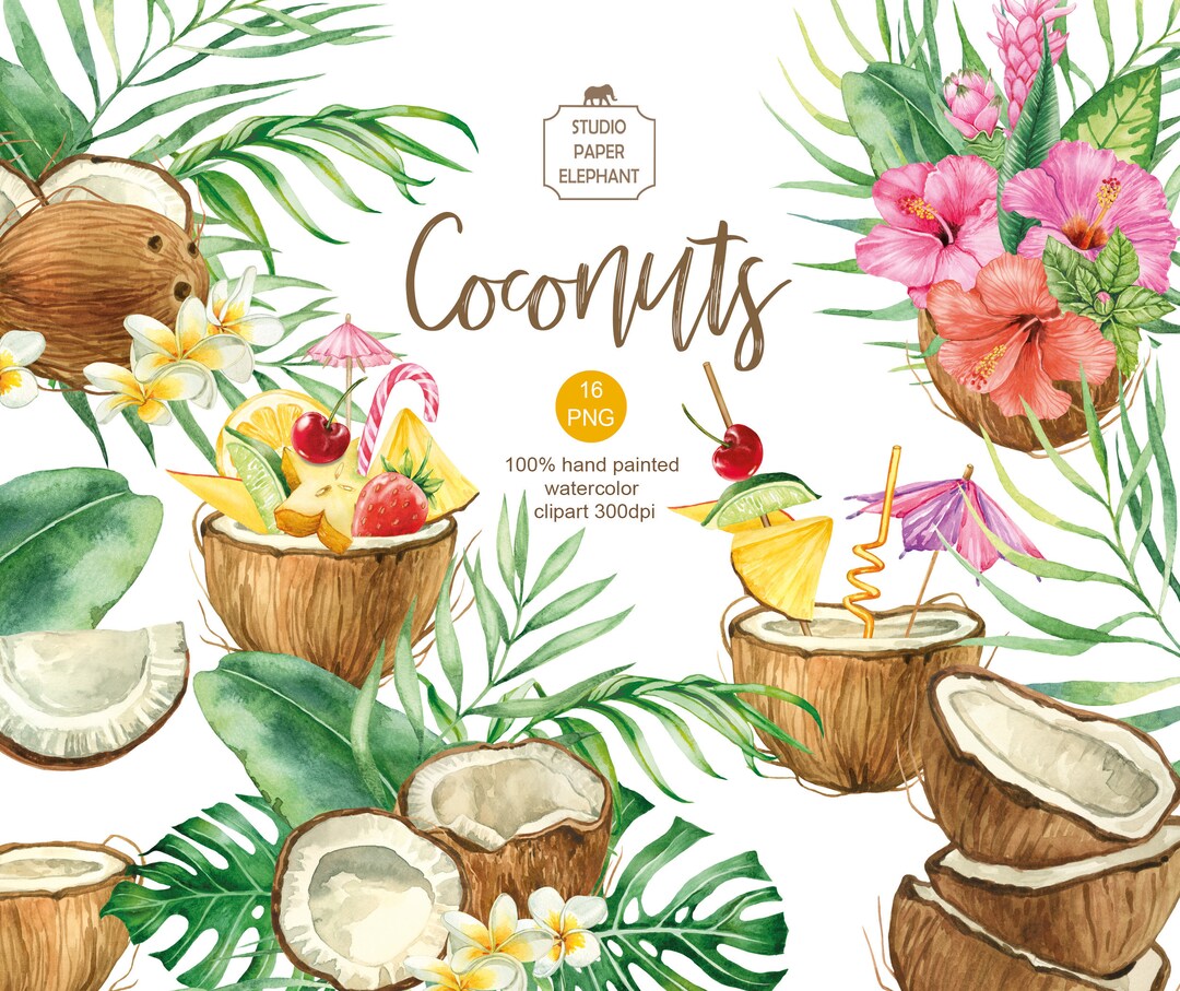 Watercolor Coconuts Clipart, Tropical Summer Clipart, Coconut Cocktail ...