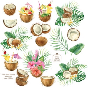 Watercolor Coconuts Clipart, Tropical Summer Clipart, Coconut Cocktail ...