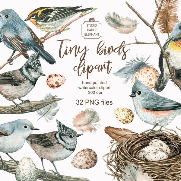 Watercolor Birds - Etsy