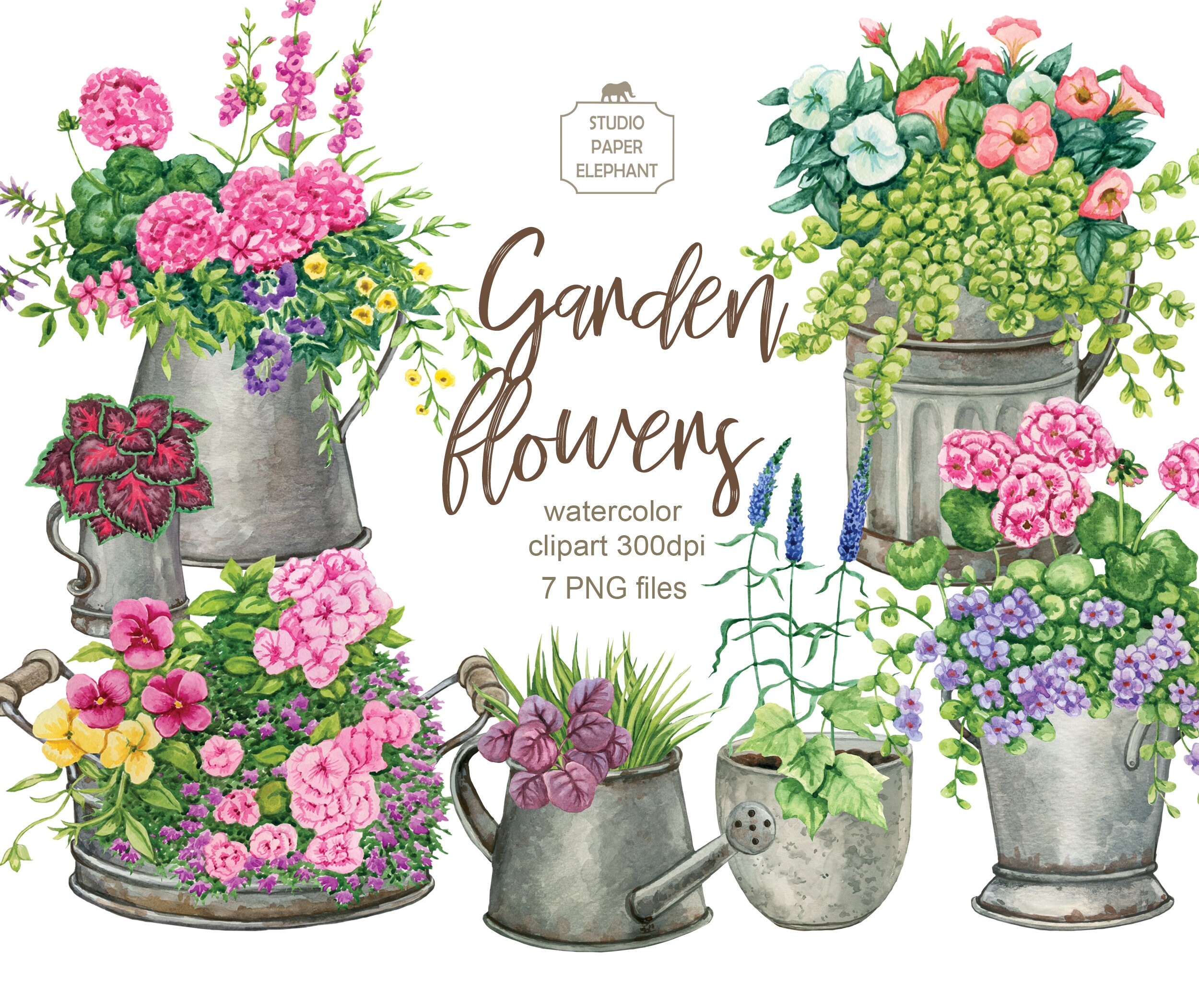 Watercolor Garden Clipart Garden Flowers in Containers Rusty - Etsy