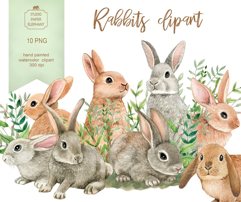 Watercolor Bunnies Clipart Rabbit Clipart Easter Bunnies - Etsy