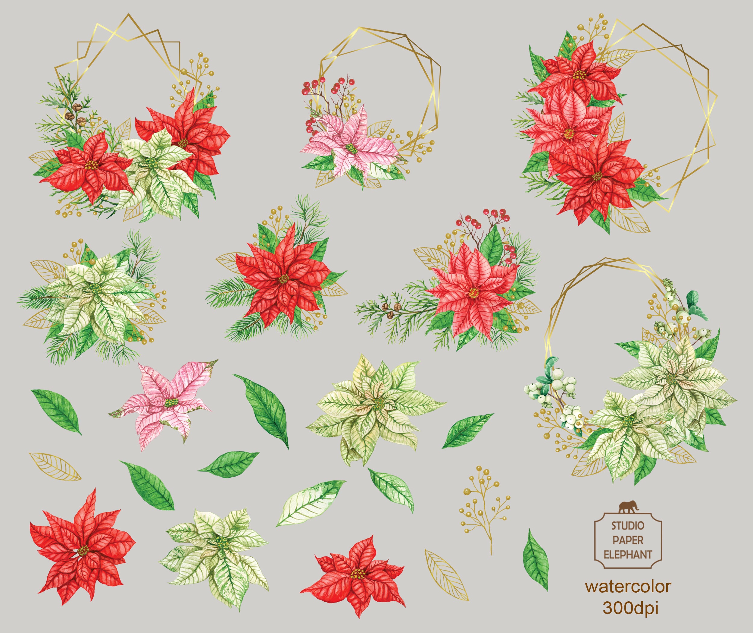 Watercolor Poinsettia Clipart: Christmas Flower Gold Frames (PNG ...