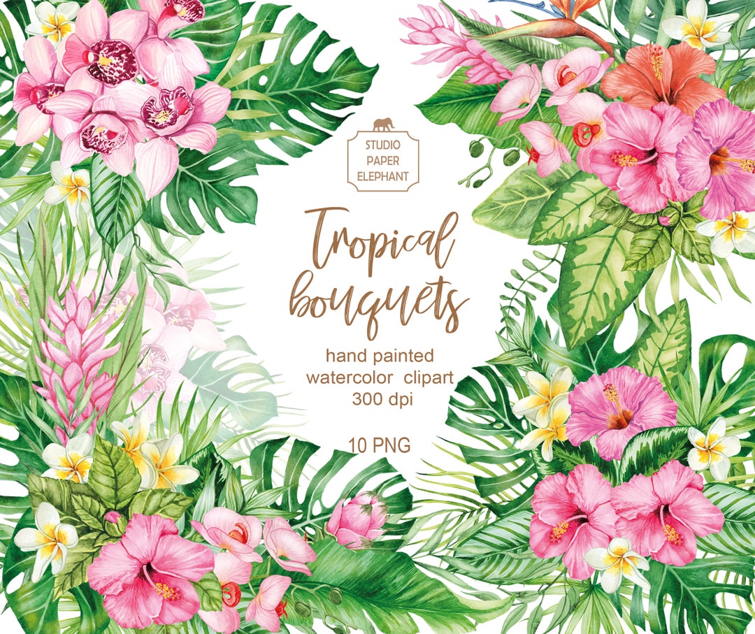 Watercolor Tropical Bouquet Clipart: PNG Flowers & Leaves (digital ...