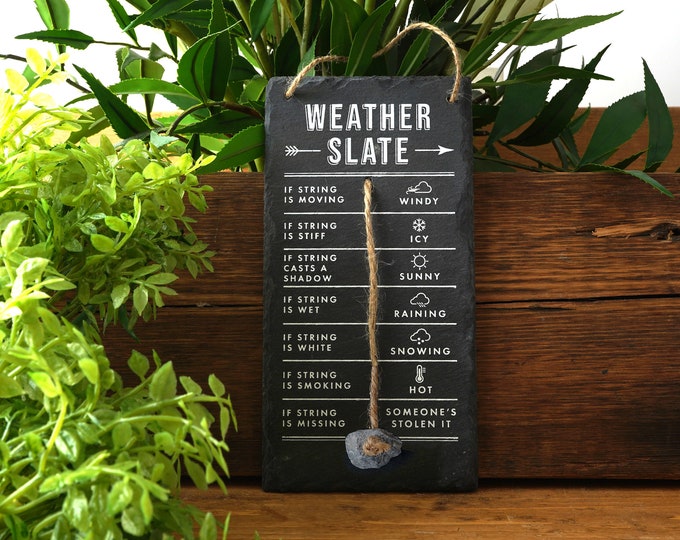 The Climatic Revelator Working Steampunk Weather Forecast Machine - Etsy