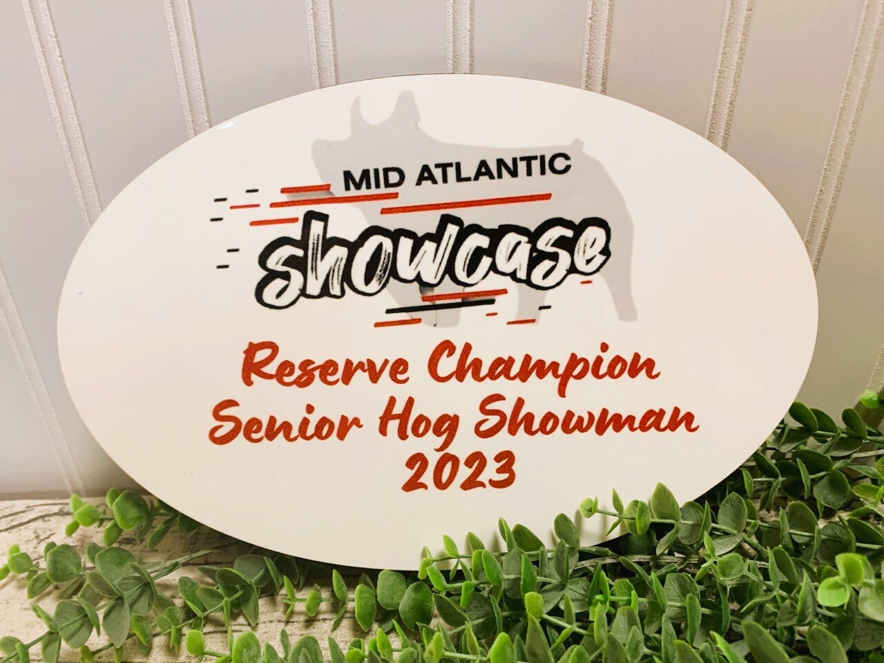 Full Color Sublimation Oval Awards - Etsy