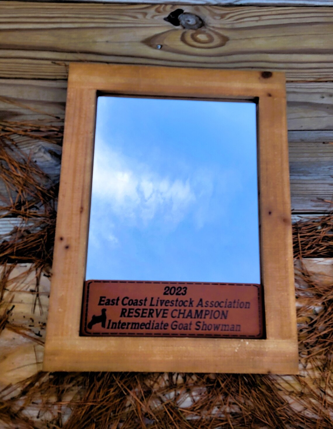 Western Custom Award Mirror for Stockshow and Rodeo - Etsy