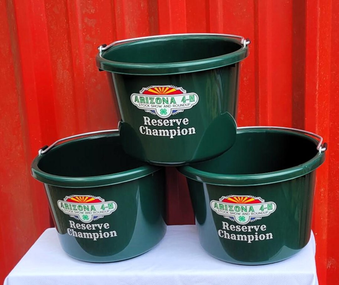 Custom 8 Quart Animal Livestock Pet Feed Bucket - Etsy