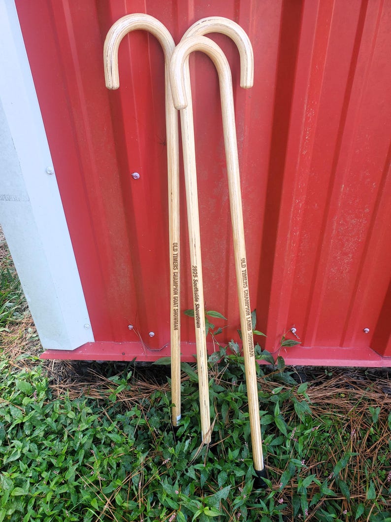 Hog Walking Cane Old Timers Swine Showmanship Award Buyer Gift - Etsy