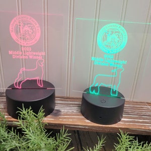 Acrylic Awards With Light up Base - Etsy