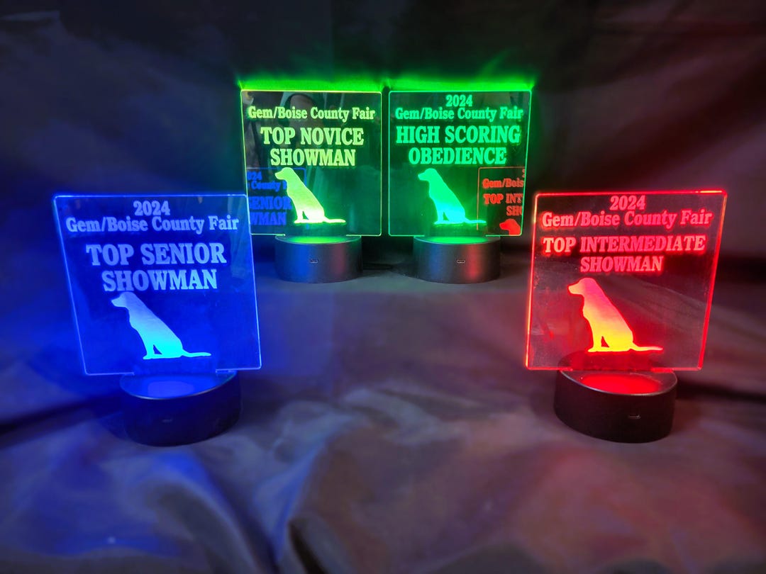 Acrylic Awards With Light up Base - Etsy