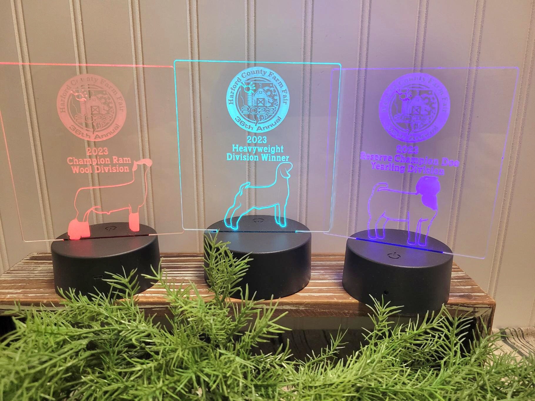 Acrylic Awards With Light up Base - Etsy