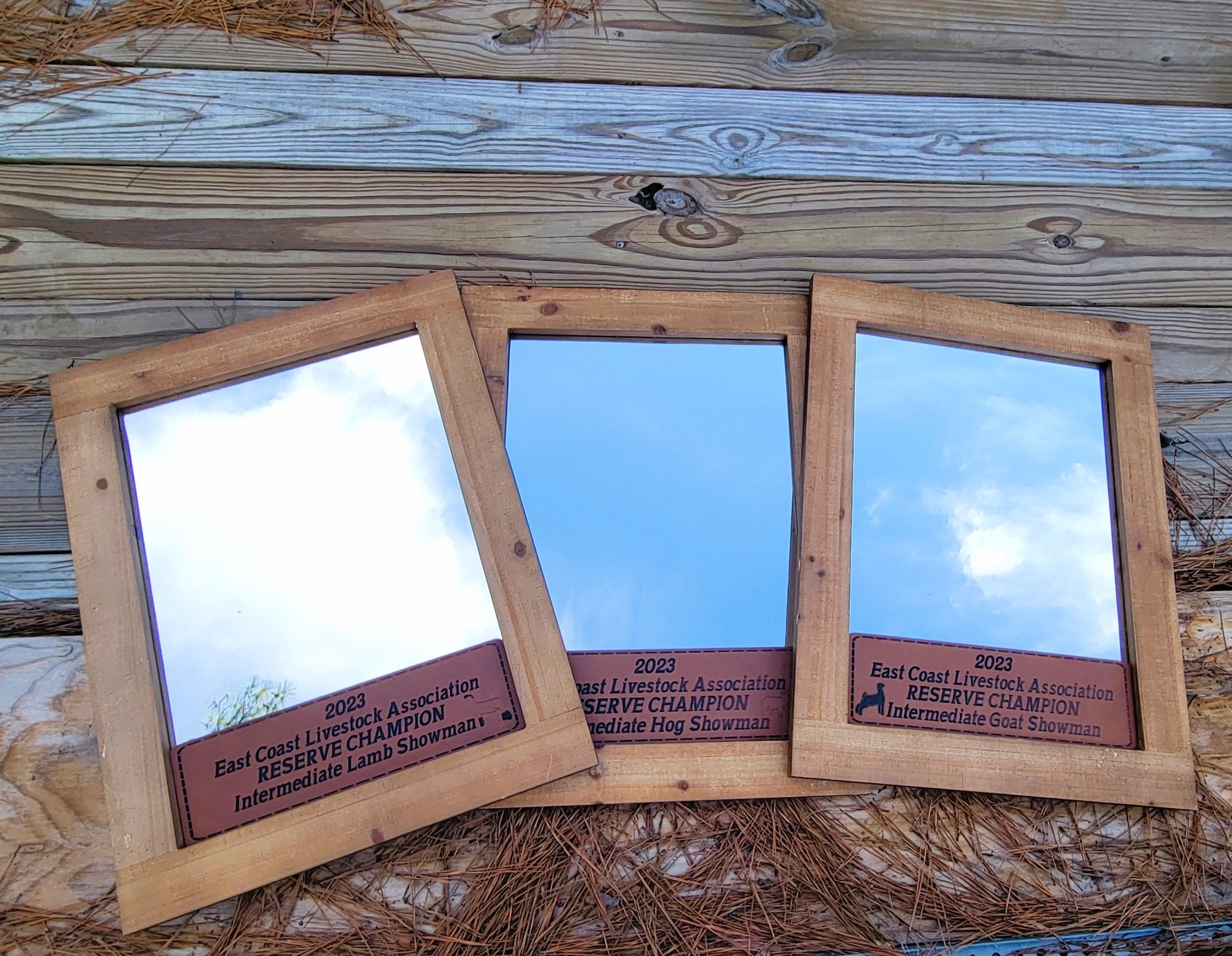 Western Custom Award Mirror for Stockshow and Rodeo - Etsy