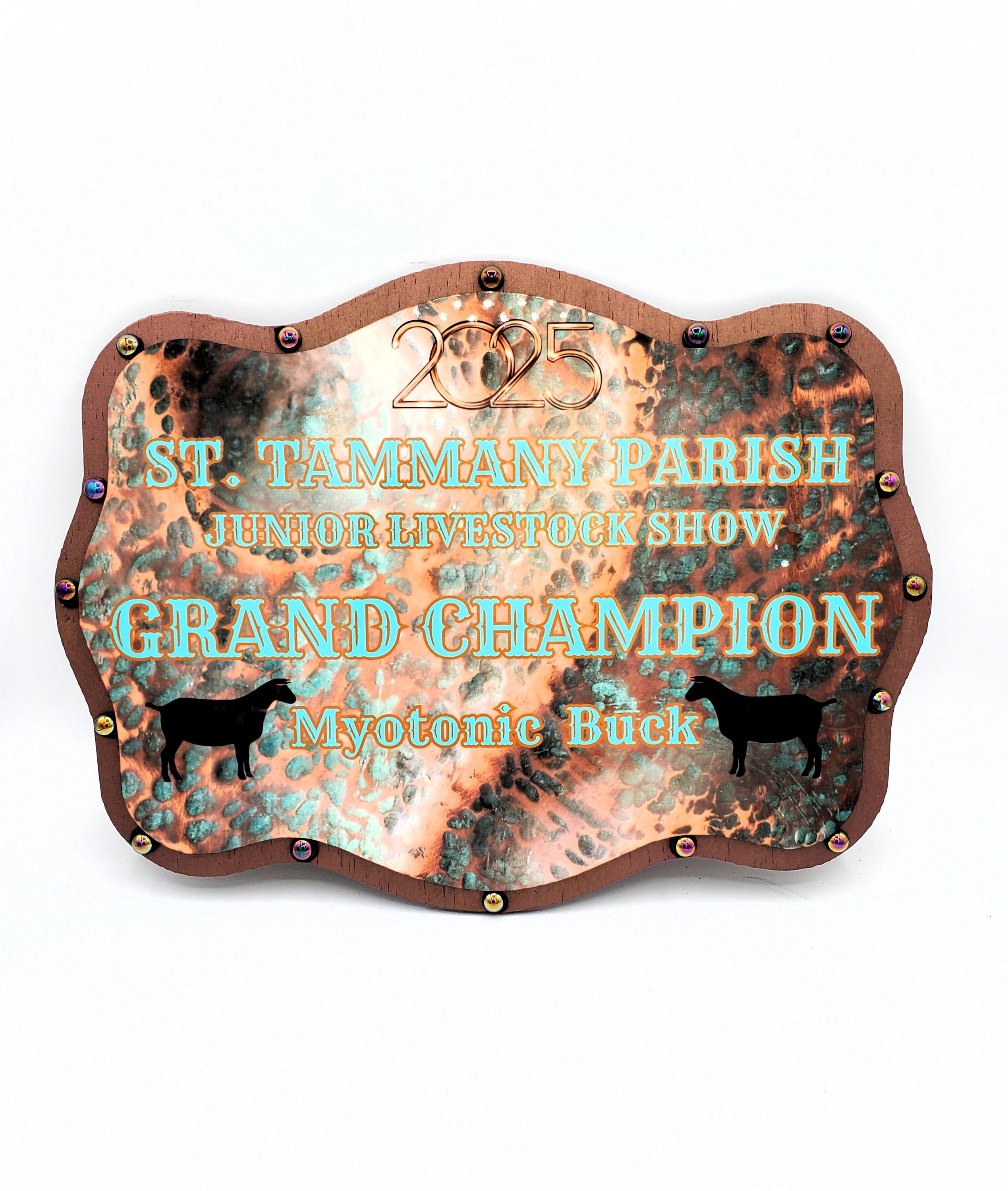 Belt Buckle Award Plaque for Livestock Show or Rodeo With Custom ...