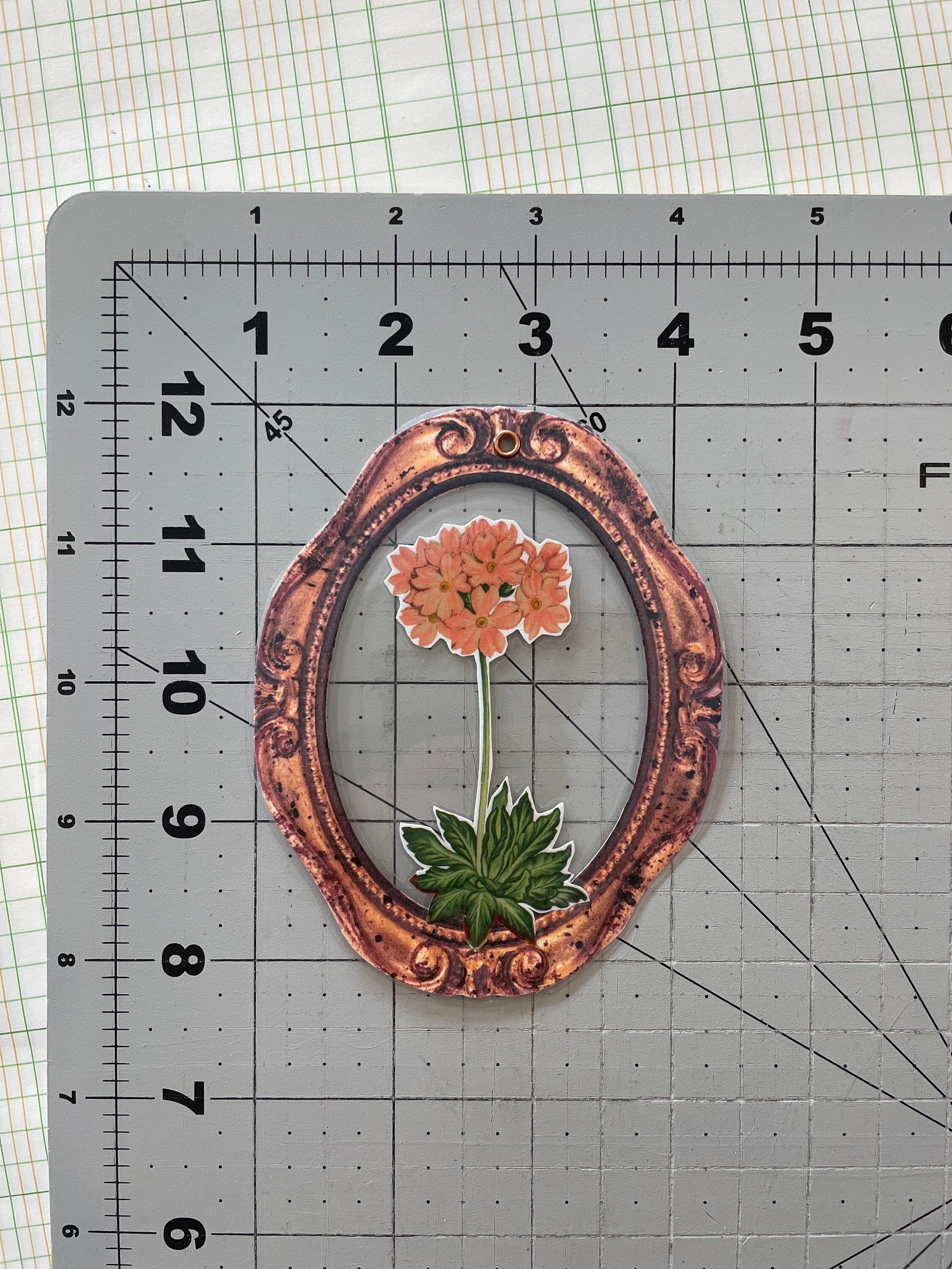 Laminated Window Frames, Journal Ephemera, Mushrooms, Flowers, Junk ...