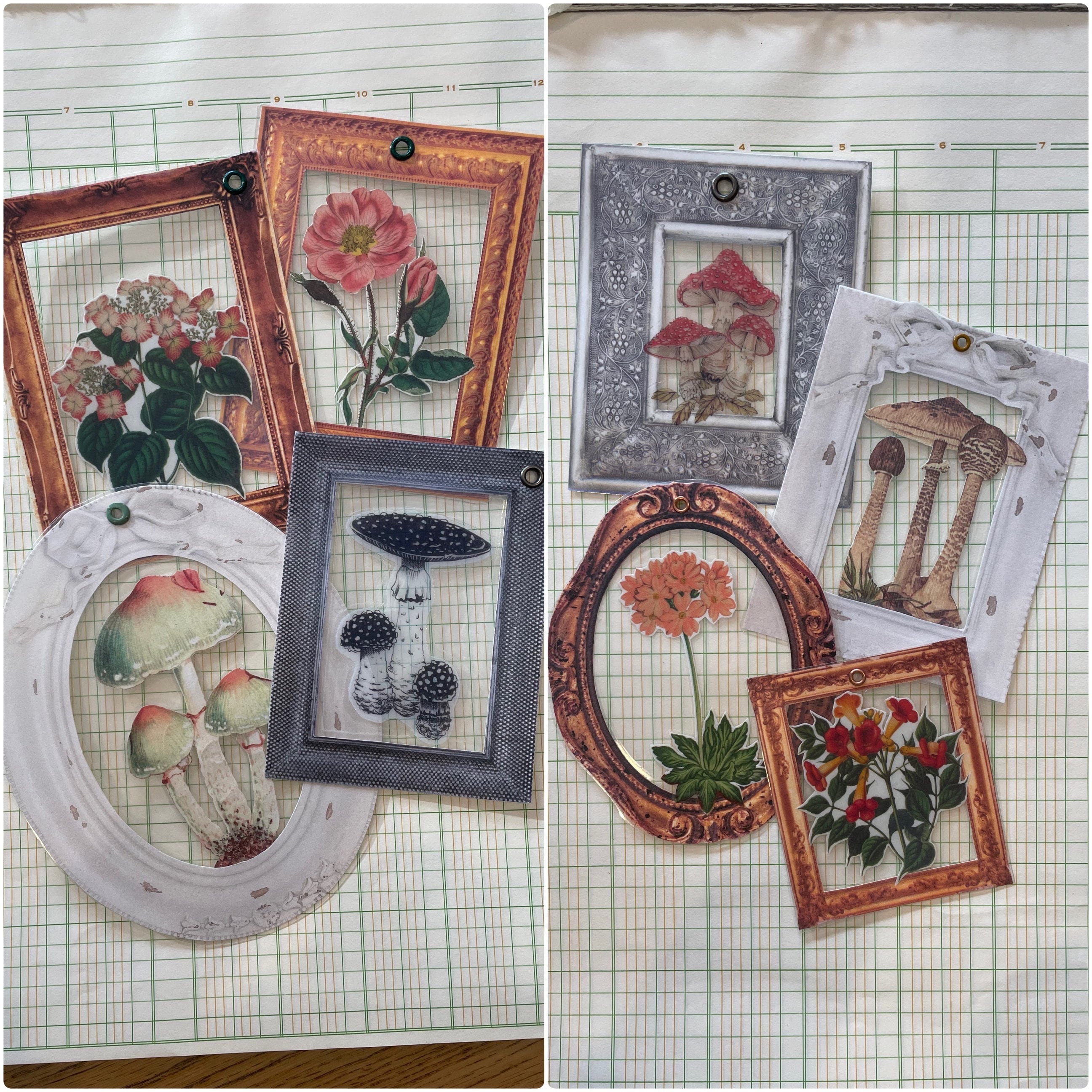 Laminated Window Frames, Journal Ephemera, Mushrooms, Flowers, Junk ...