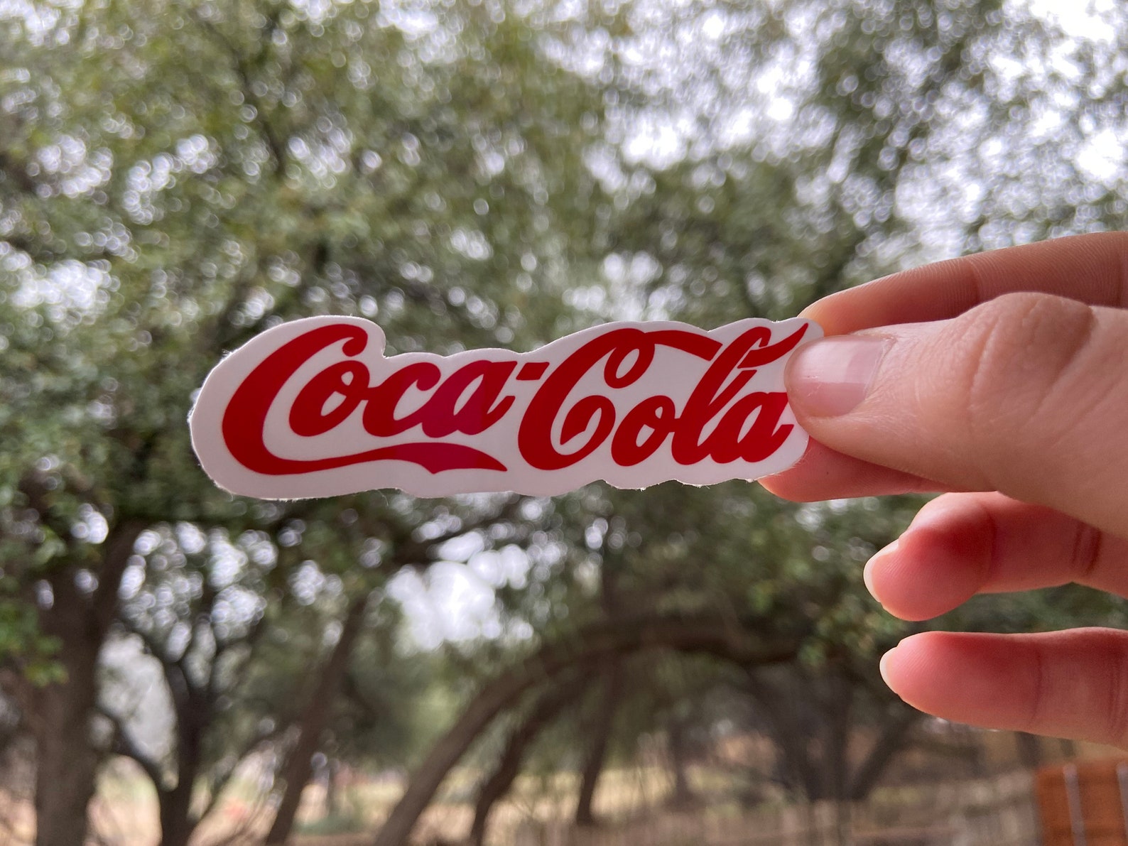 Coca-Cola Coke Logo Soda Sticker Heart Sticker Rainbow | Etsy