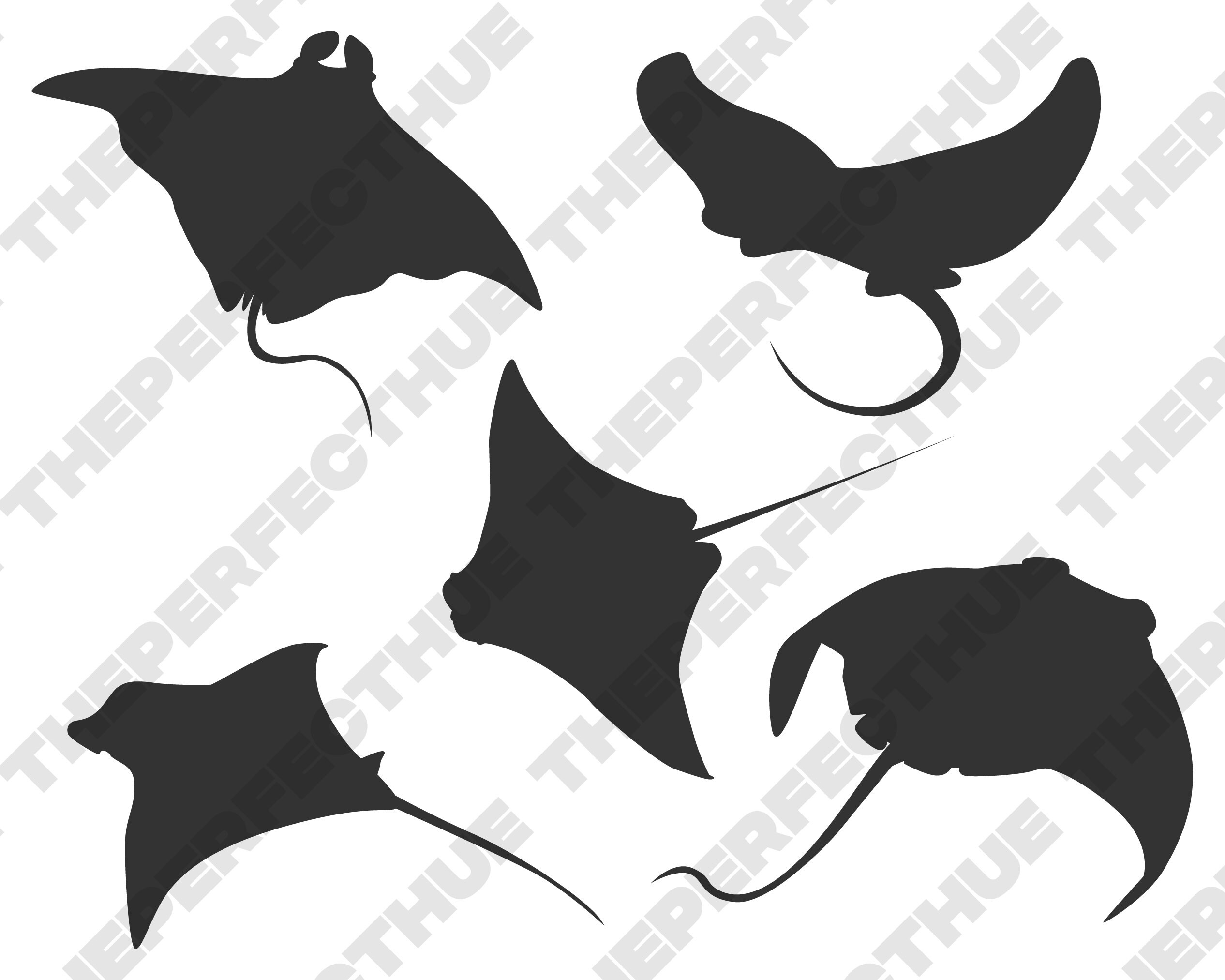 Stingray Animal Bundle Silhouette, Stingray Svg, Svg for Cut Cricut ...