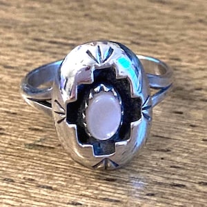 Pink Mollusk Shadowbox Ring - Etsy