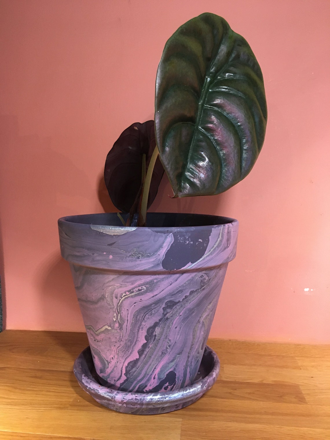 Maceta grande personalizada / Diseño personalizado / Maceta de - Etsy ...