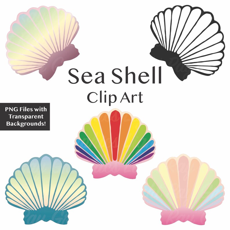 Sea Shell Clip Art Set, PNG Files With Transparent Background ...