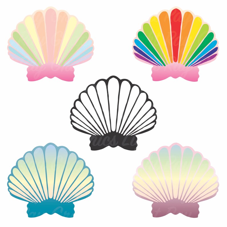 Sea Shell Clip Art Set, PNG Files With Transparent Background ...