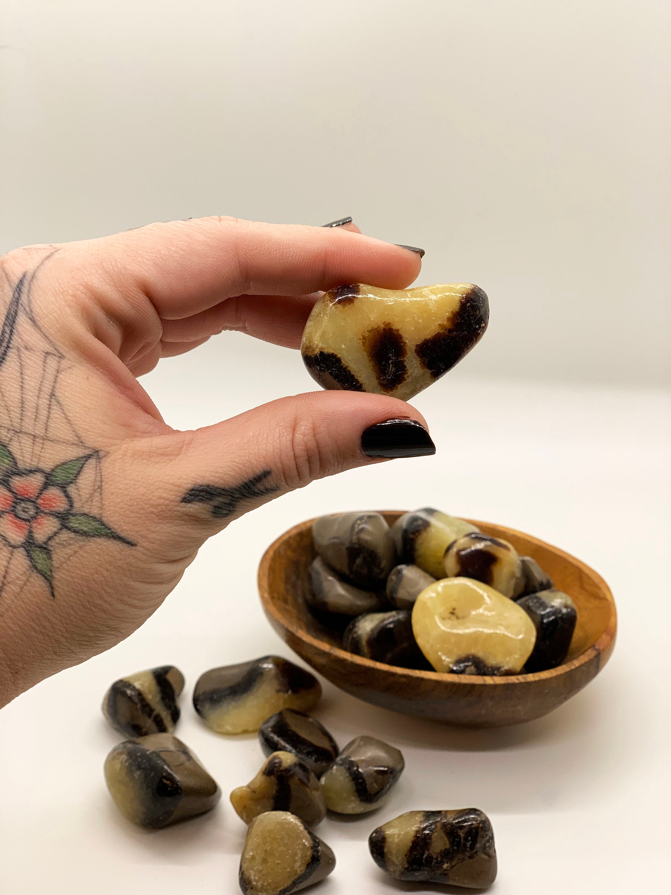 One Tumbled Septarian Stone Madagascar Crystals Home Decor alter Decor ...