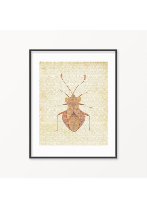 Beetle Print Insect Print Bugs Printable Bugs Print Bugs | Etsy