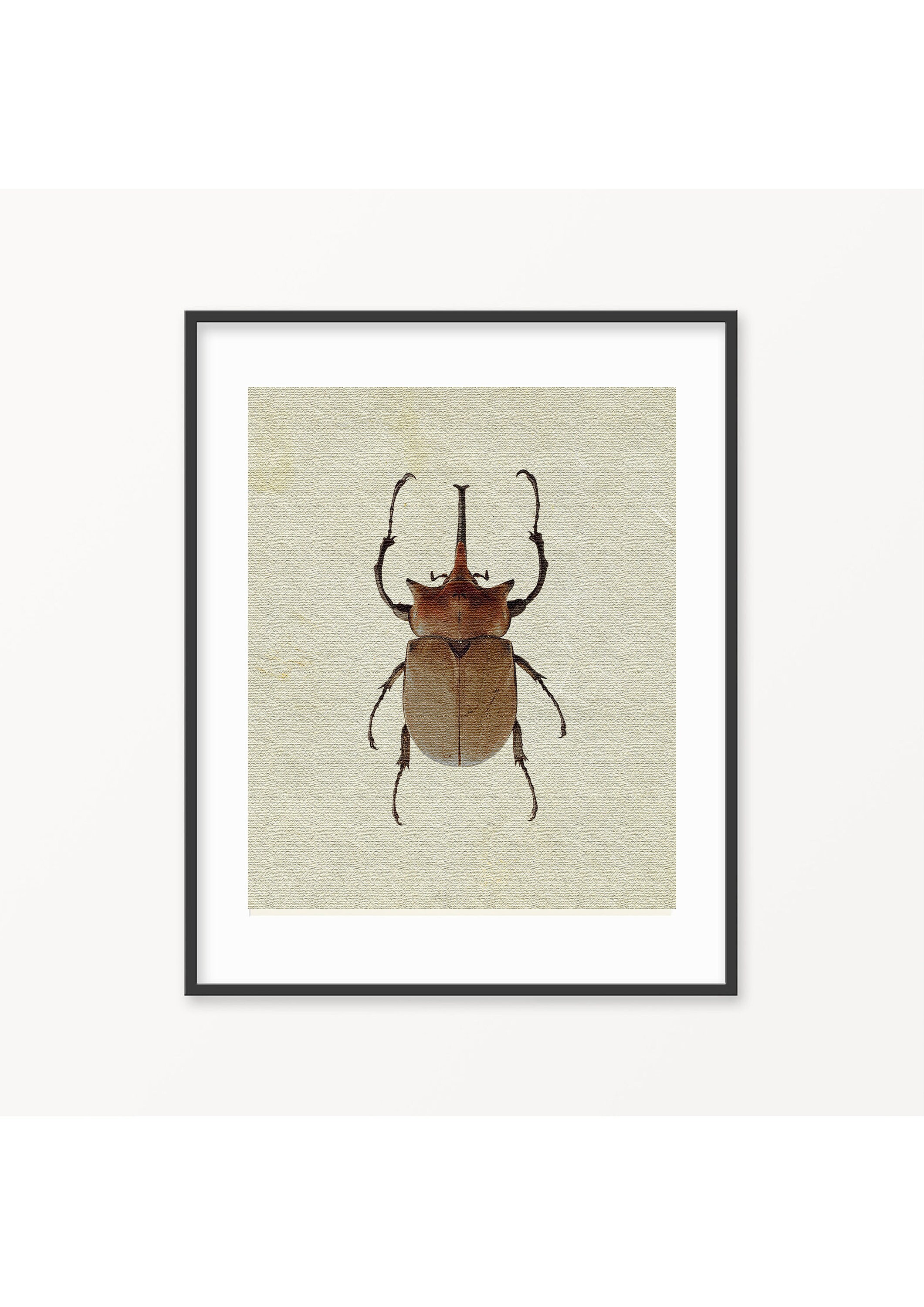 Beetle Print, Insect Print, Bugs Printable, Bugs Print, Bugs Art, Bugs ...