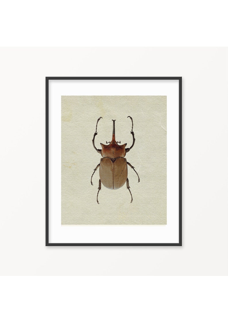 Beetle Print, Insect Print, Bugs Printable, Bugs Print, Bugs Art, Bugs ...